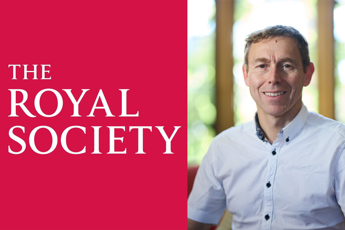 Stephen Smartt receives Royal Society Research Professorship | Christ ...