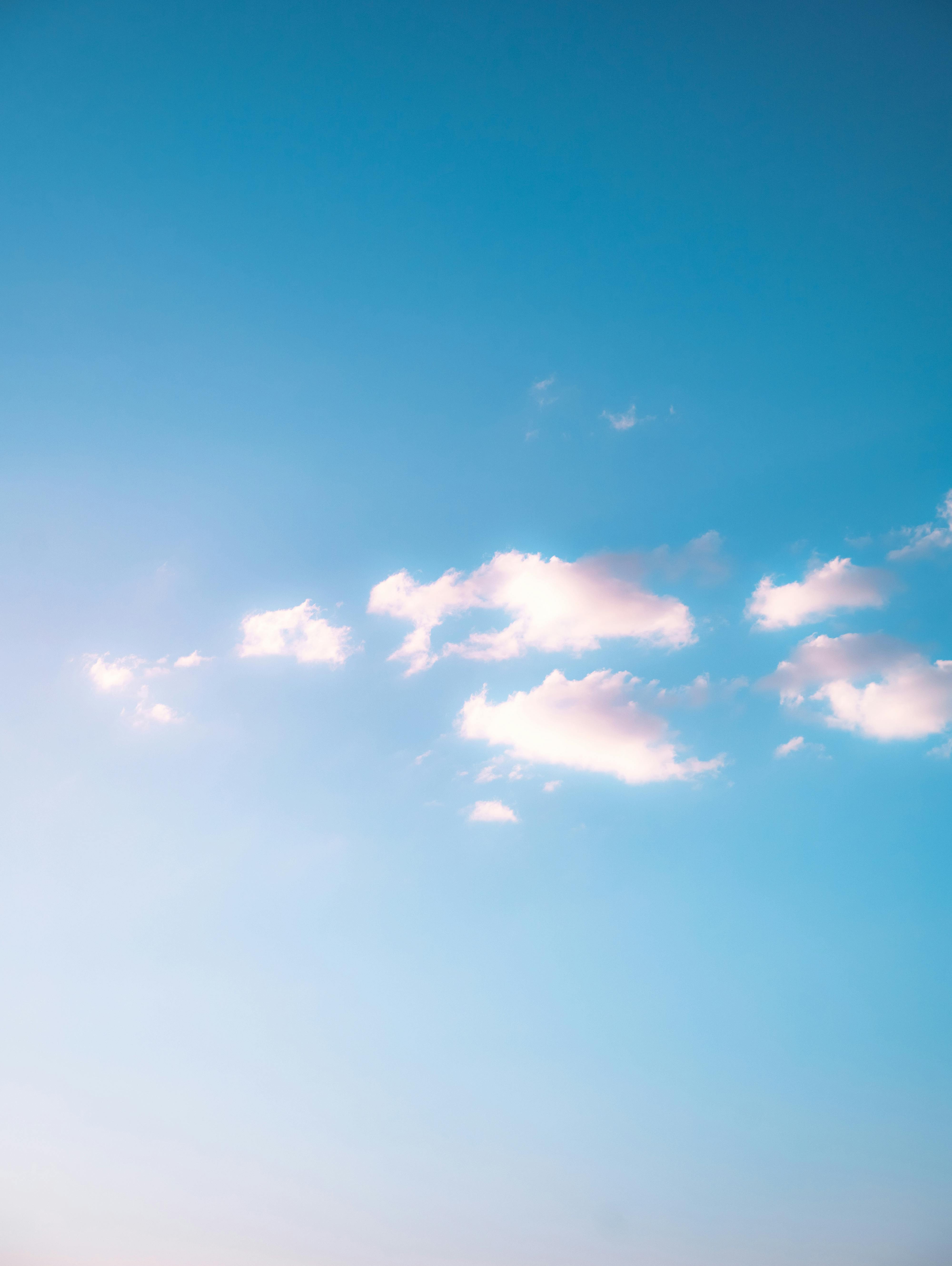 Sermon, Seventh Sunday after Trinity: "Seek the Things That are Above ...