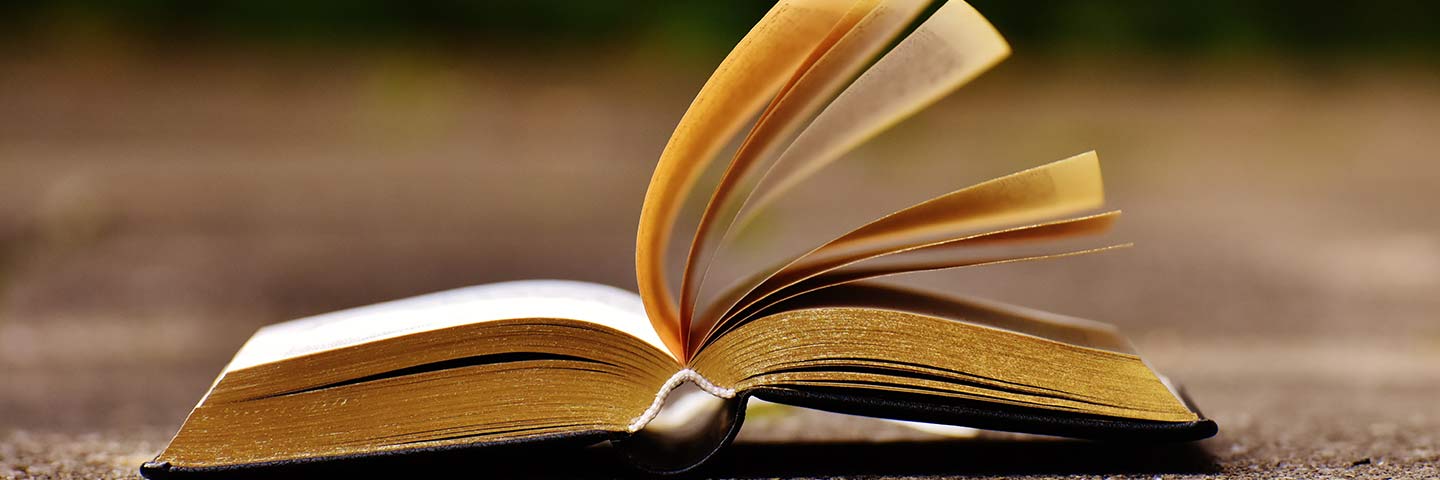 Felicity Brown wins Derek Brewer Essay Prize for work on Arthurian ...